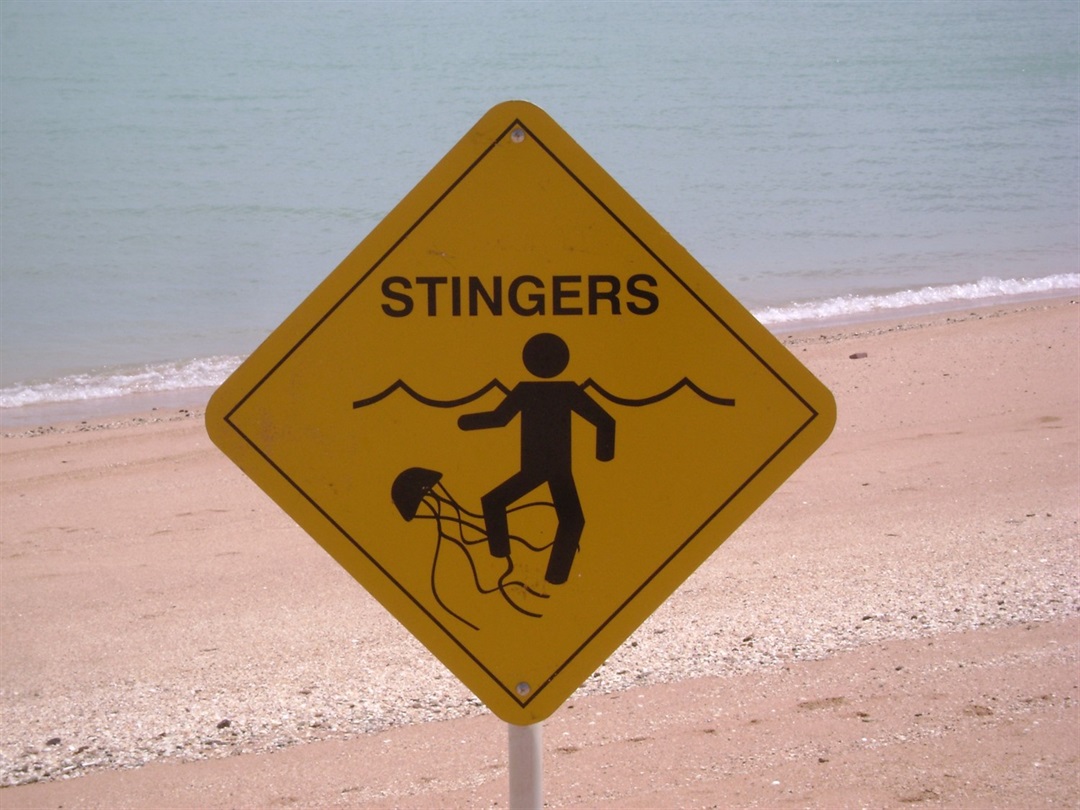 Stinger Safety Shire of Broome